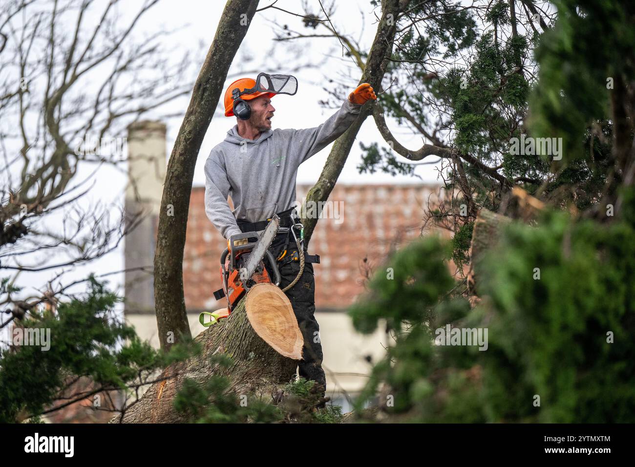 Tree surgeons work to clear a tree that has fallen on homes in Burnham ...