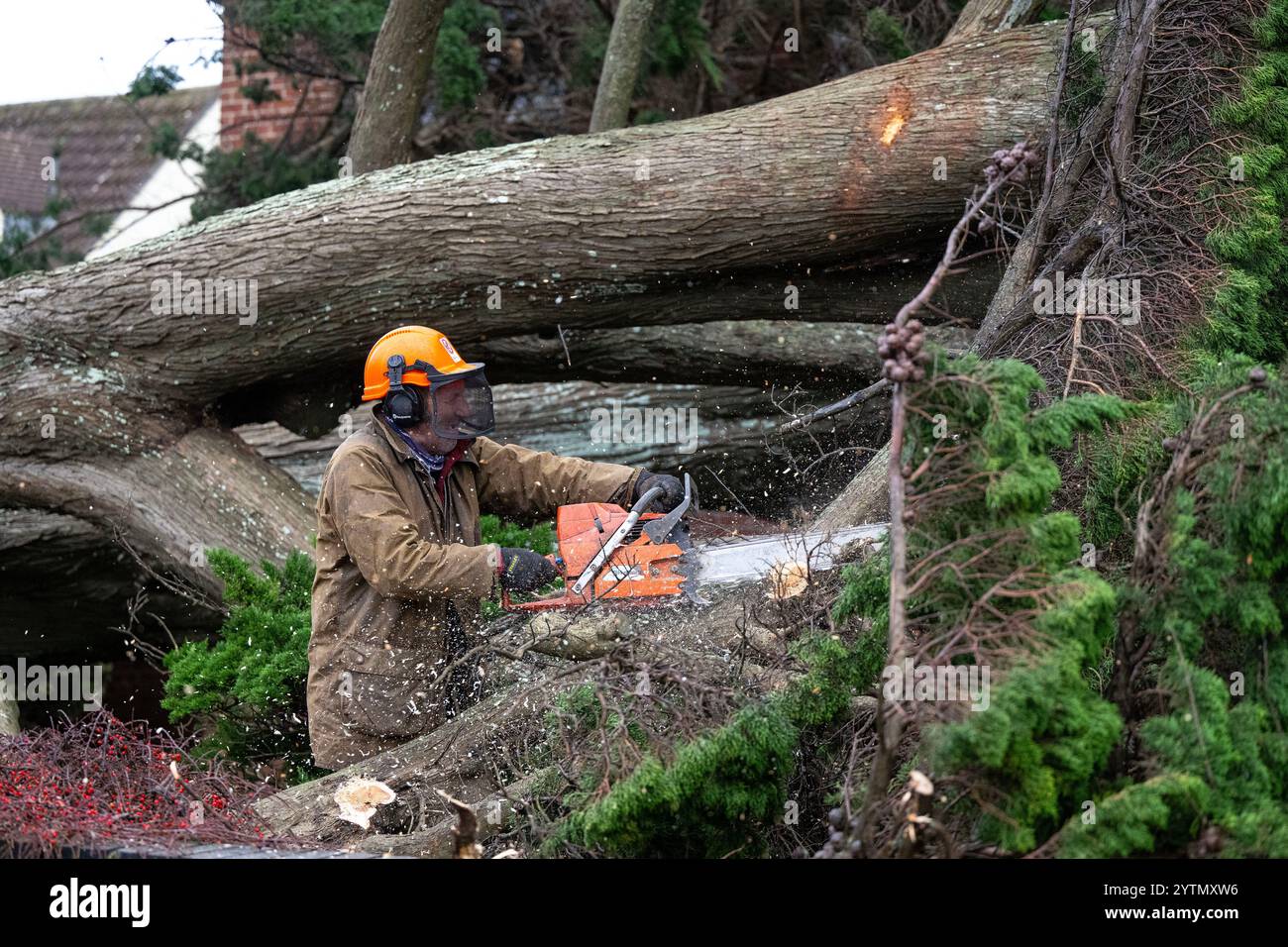 Tree surgeons work to clear a tree that has fallen on homes in Burnham ...
