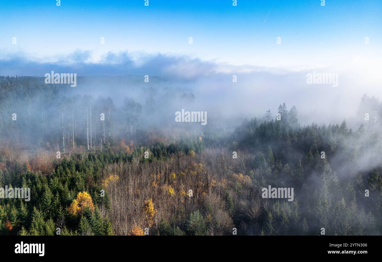 Grafenhausen, Germany, 10th Nov 2024: Where the high fog has cleared ...