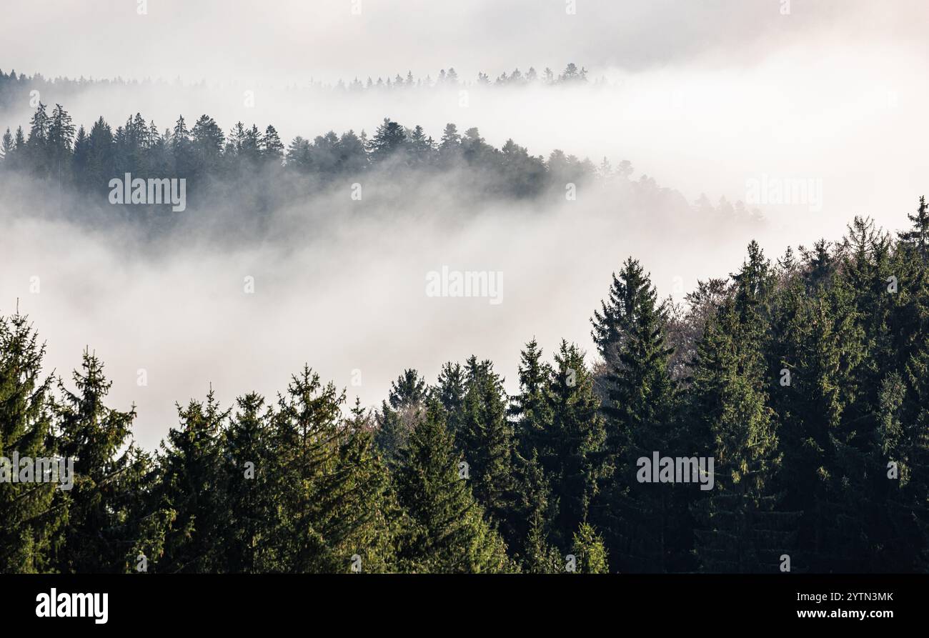 Bonndorf im Schwarzwald, Germany, 10th Nov 2024: The fog line is near ...