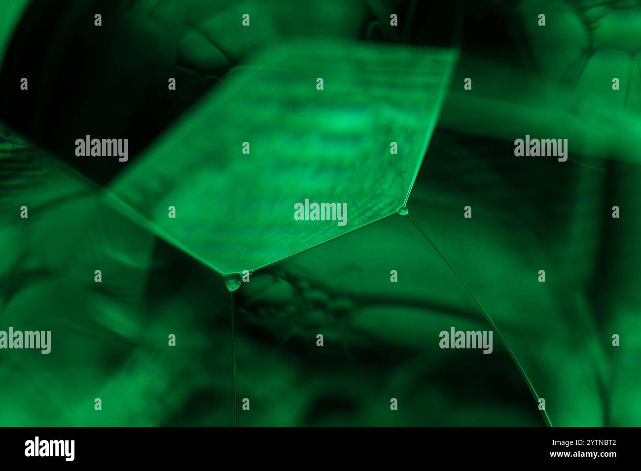 Green fluid panels, liquid abstraction, colour waves, deep dark ...