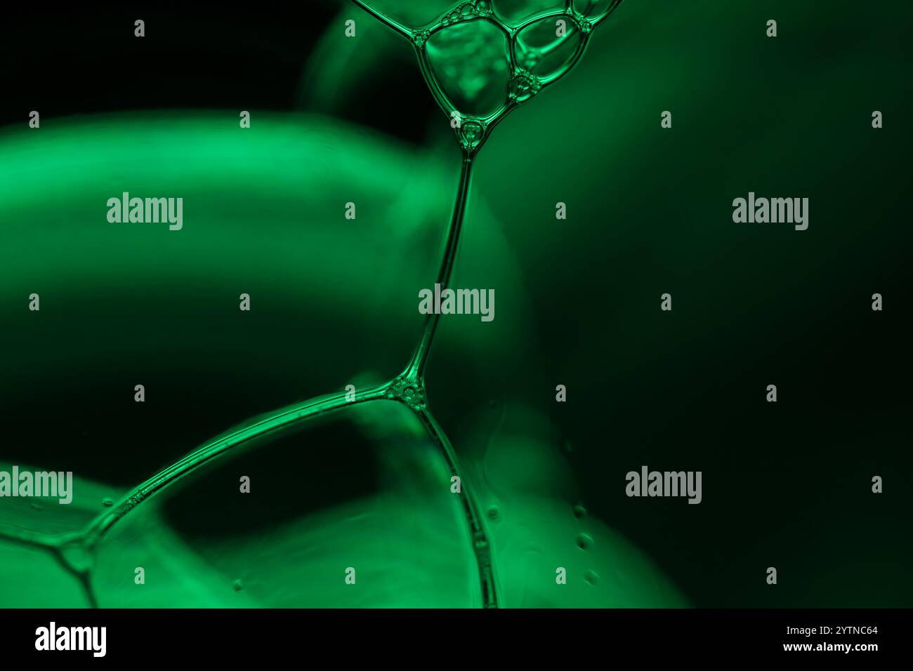 Green fluid panels, liquid abstraction, colour waves, deep dark ...