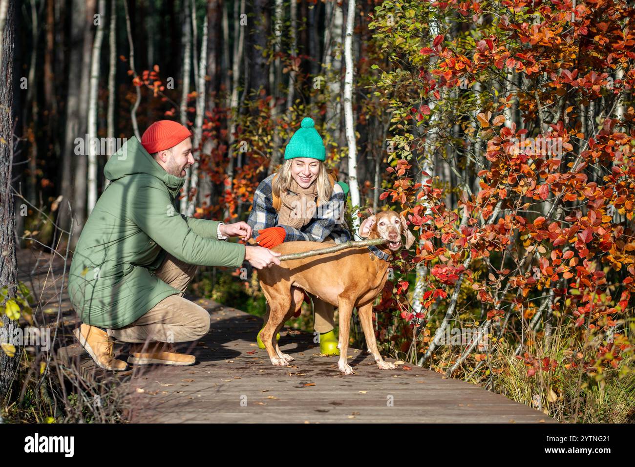 Family trekking in woods hi-res stock photography and images - Alamy