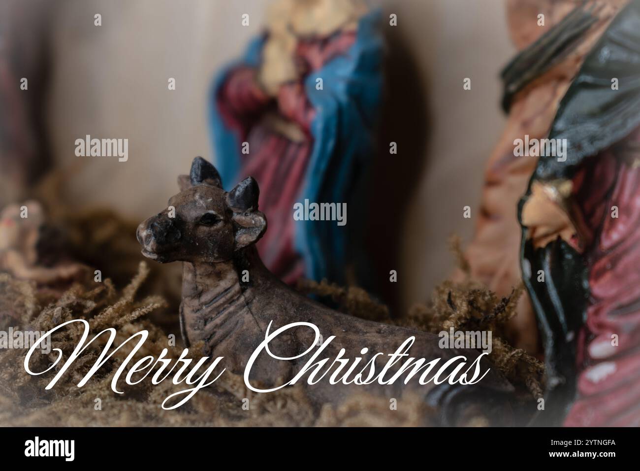 A nativity scene of the manger with a ox and holy figures and Merry ...