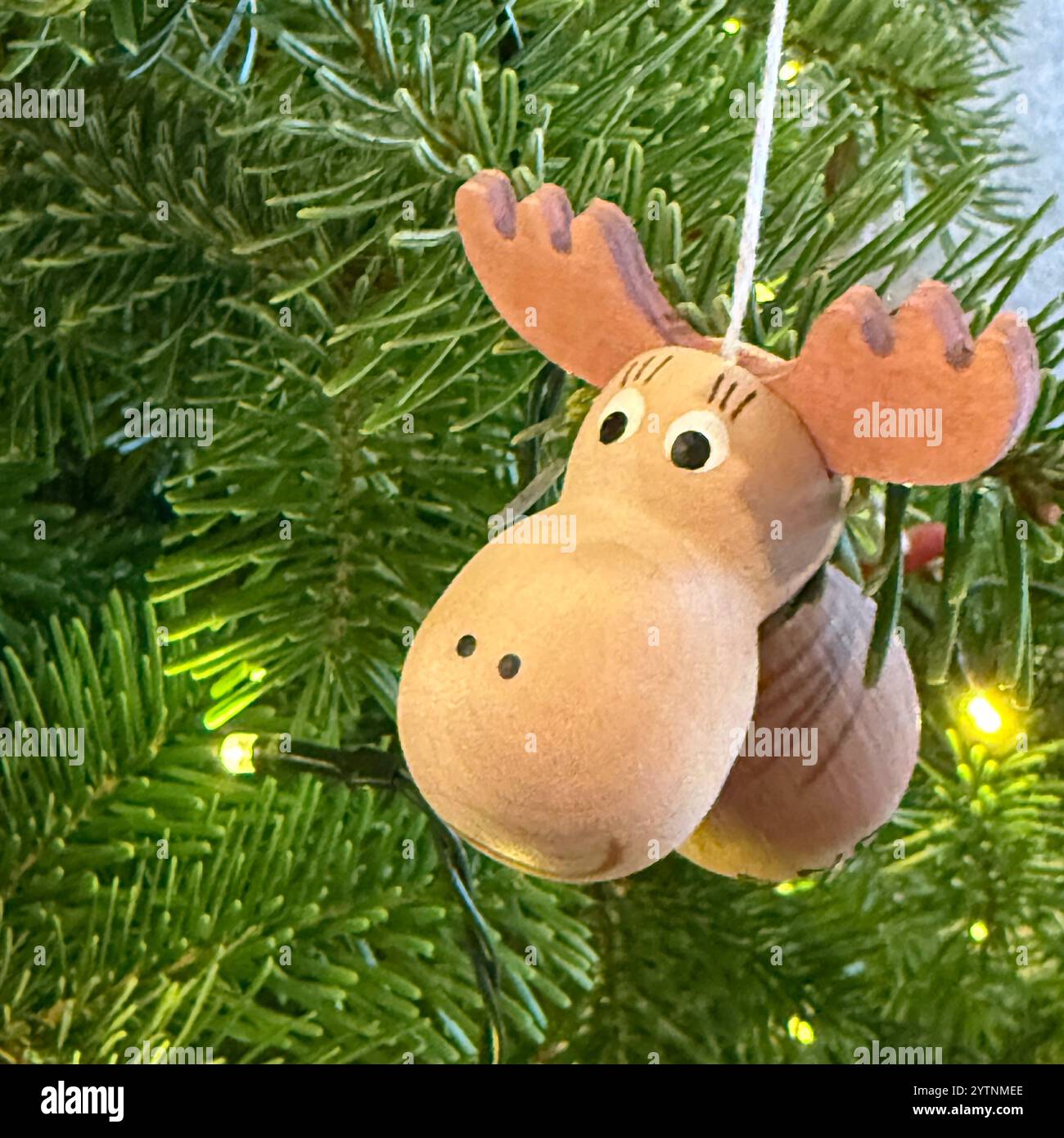 Finnish reindeer Christmas tree decoration on a Nordmann Fir tree Stock ...