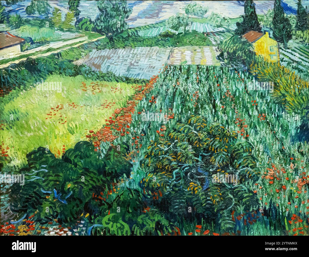 Van Gogh Field with Poppies, 1889; A poppy field. Vincent Van Gogh ...