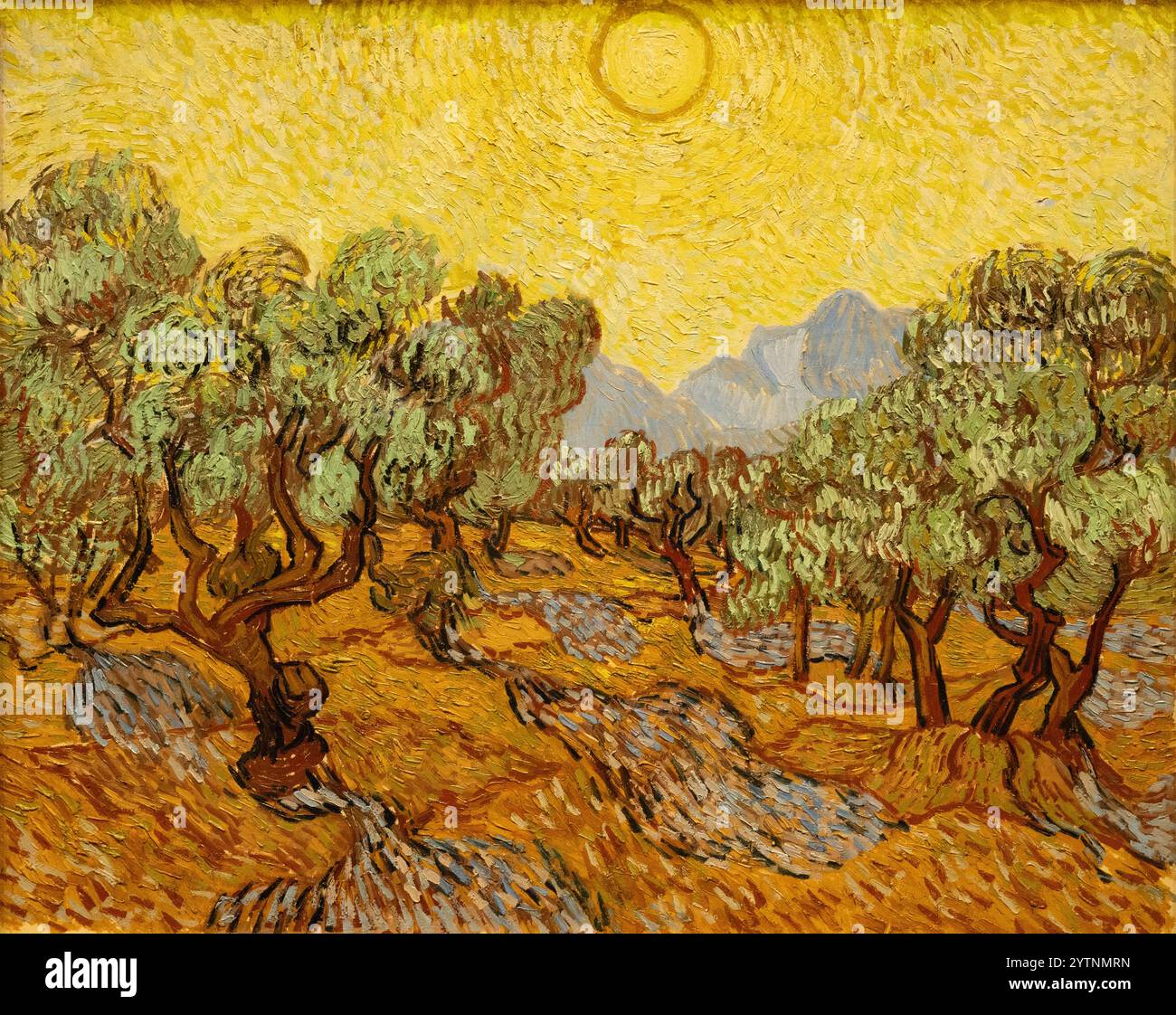Van Gogh Olive Trees,1889, oil on canvas. Vincent Van Gogh painting ...
