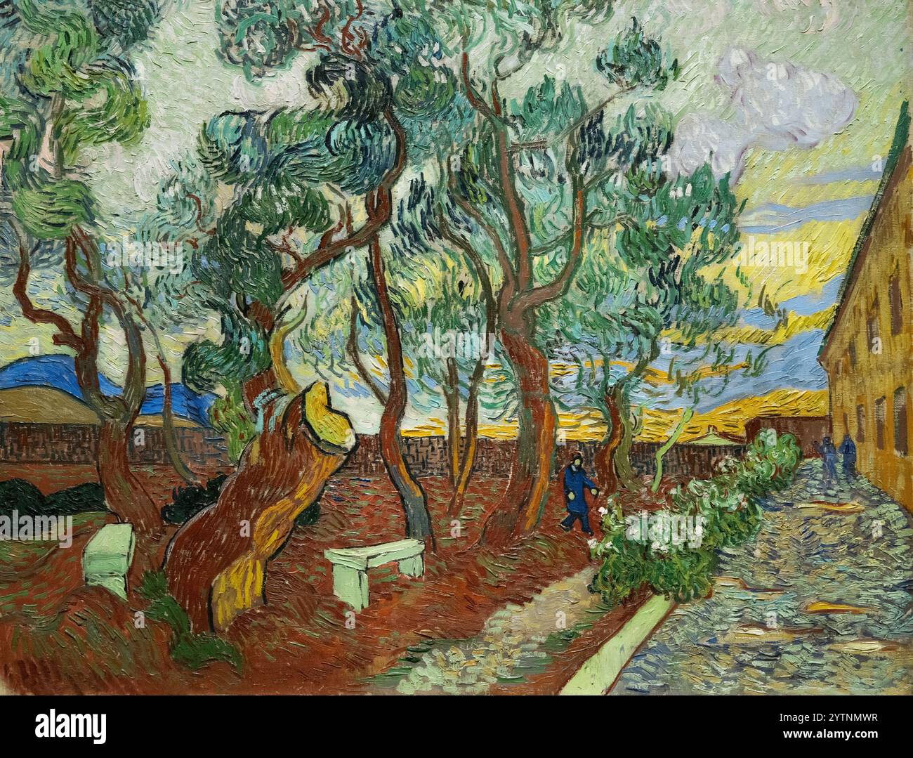 Van Gogh The Park of the Hospital at Saint Remy, 1889, oil on canvas ...