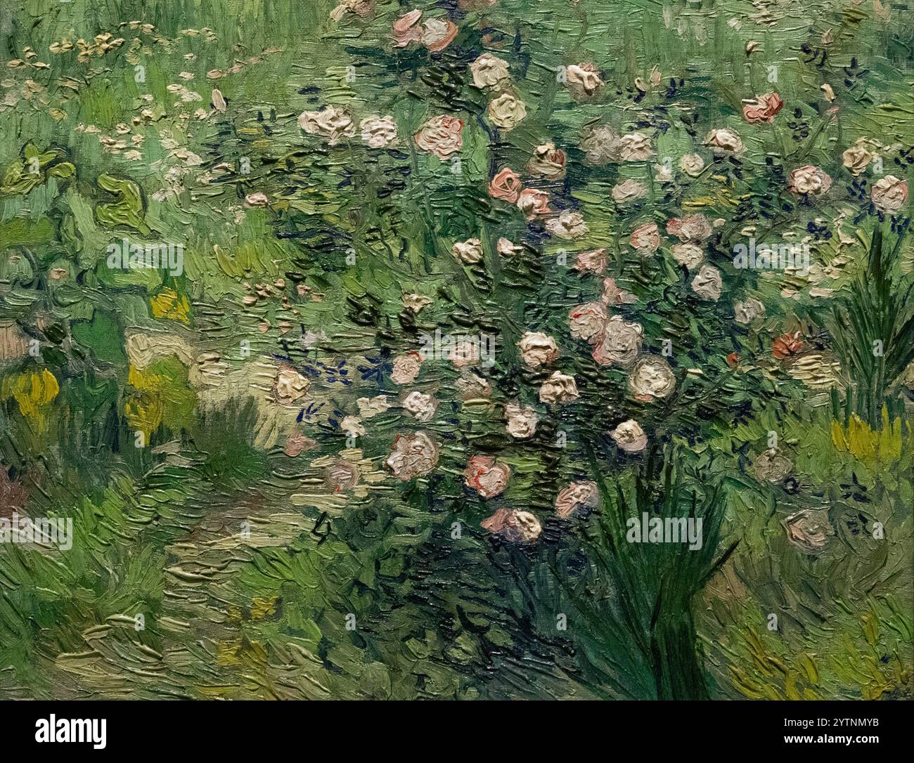 Van Gogh Roses, 1889, Vincent Van Gogh painting of flowers; 19th ...