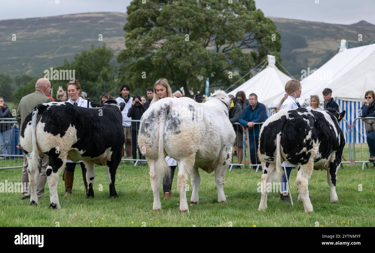 Hope country show hi-res stock photography and images - Alamy