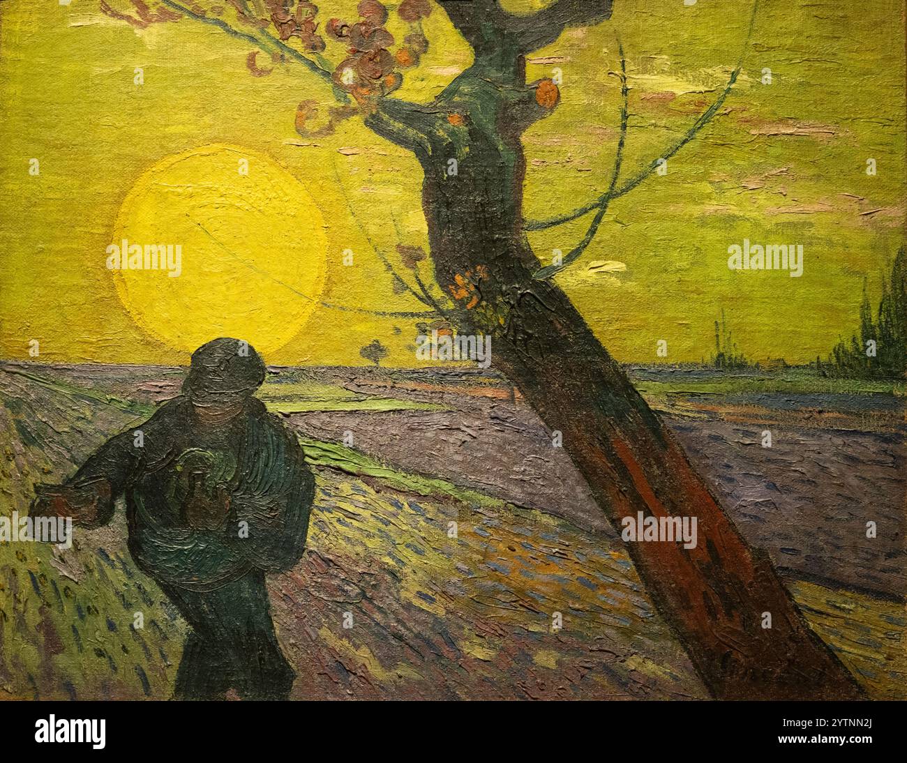 Van Gogh The Sower 1888; Vincent Van Gogh painting, Van Gogh sunset ...
