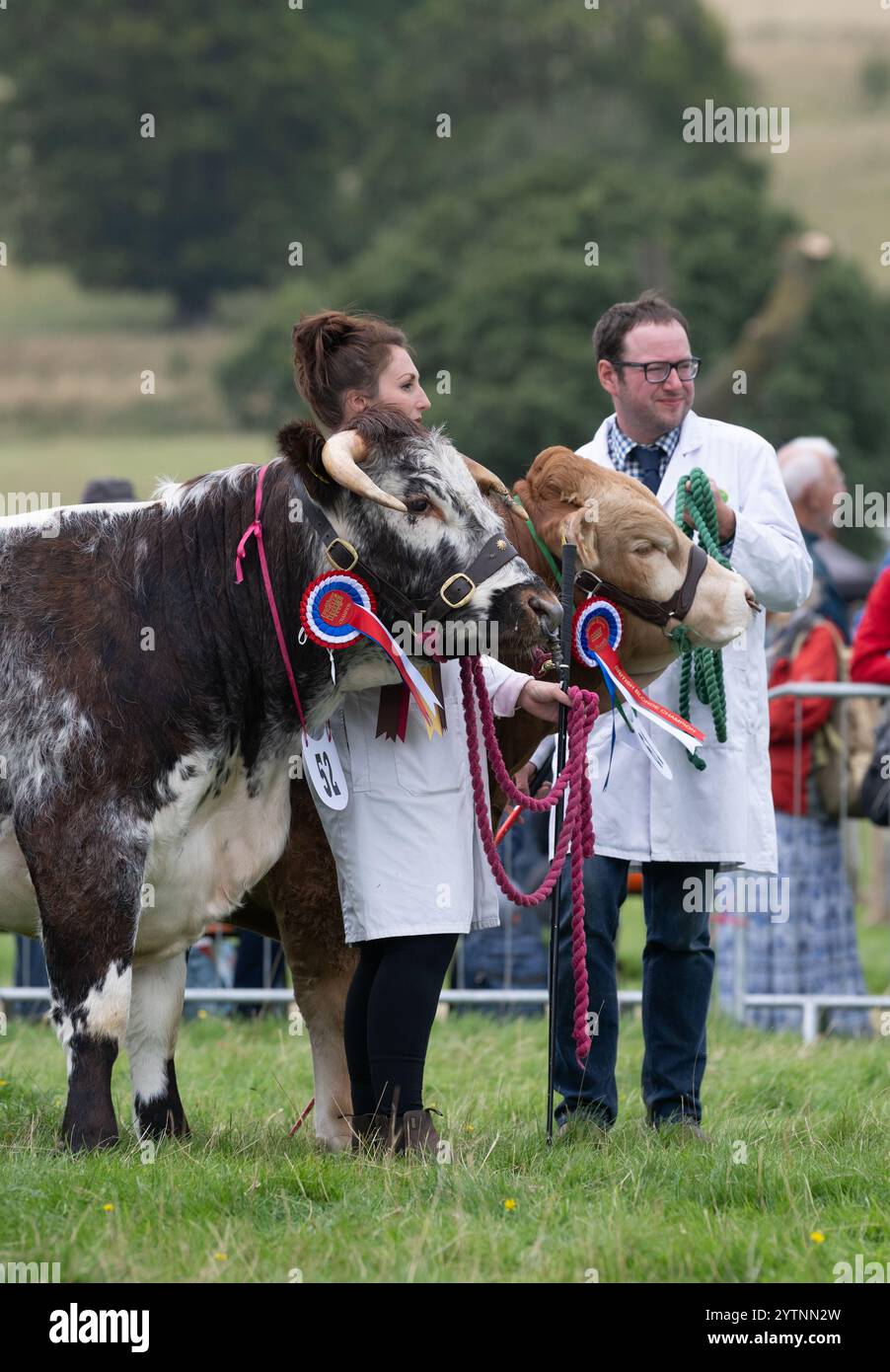 Hope country show hi-res stock photography and images - Alamy