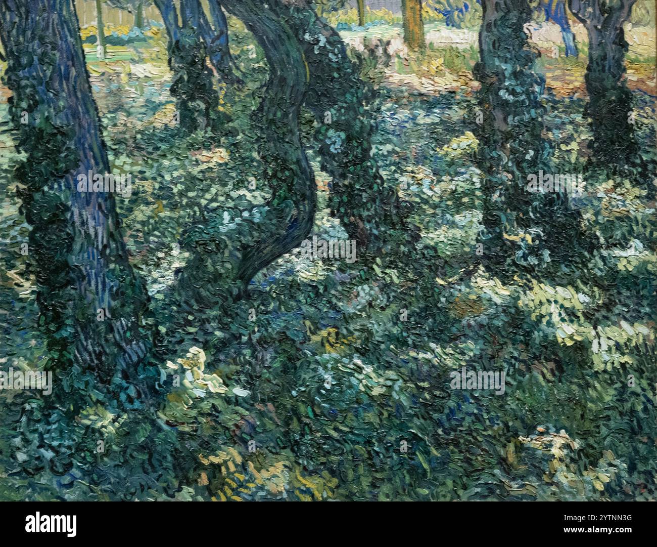 Vincent Van Gogh painting Undergrowth - 1889, Van Gogh nature, post ...