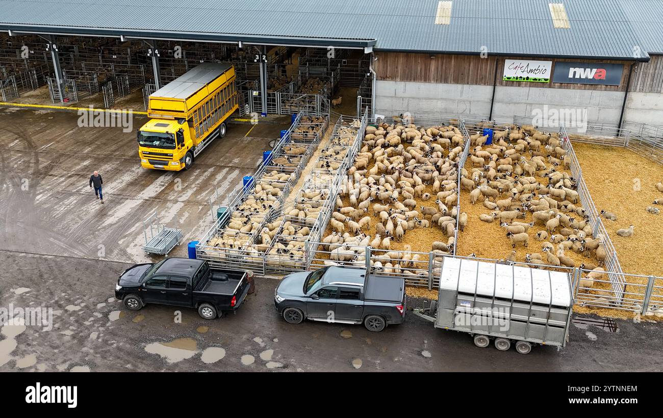 Agricultural auction mart hi-res stock photography and images - Alamy