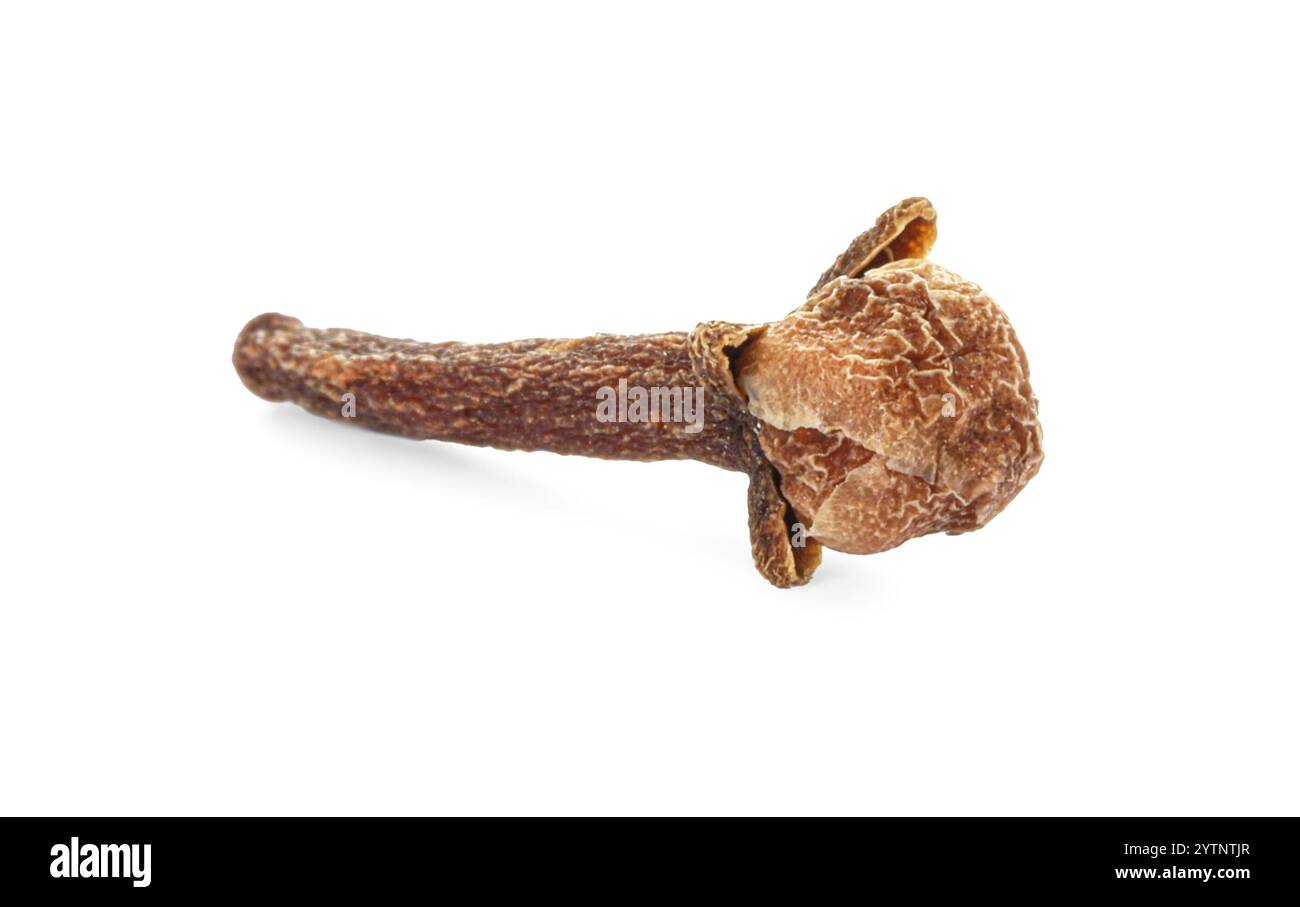 Aromatic spice. Dry clove bud isolated on white Stock Photo - Alamy