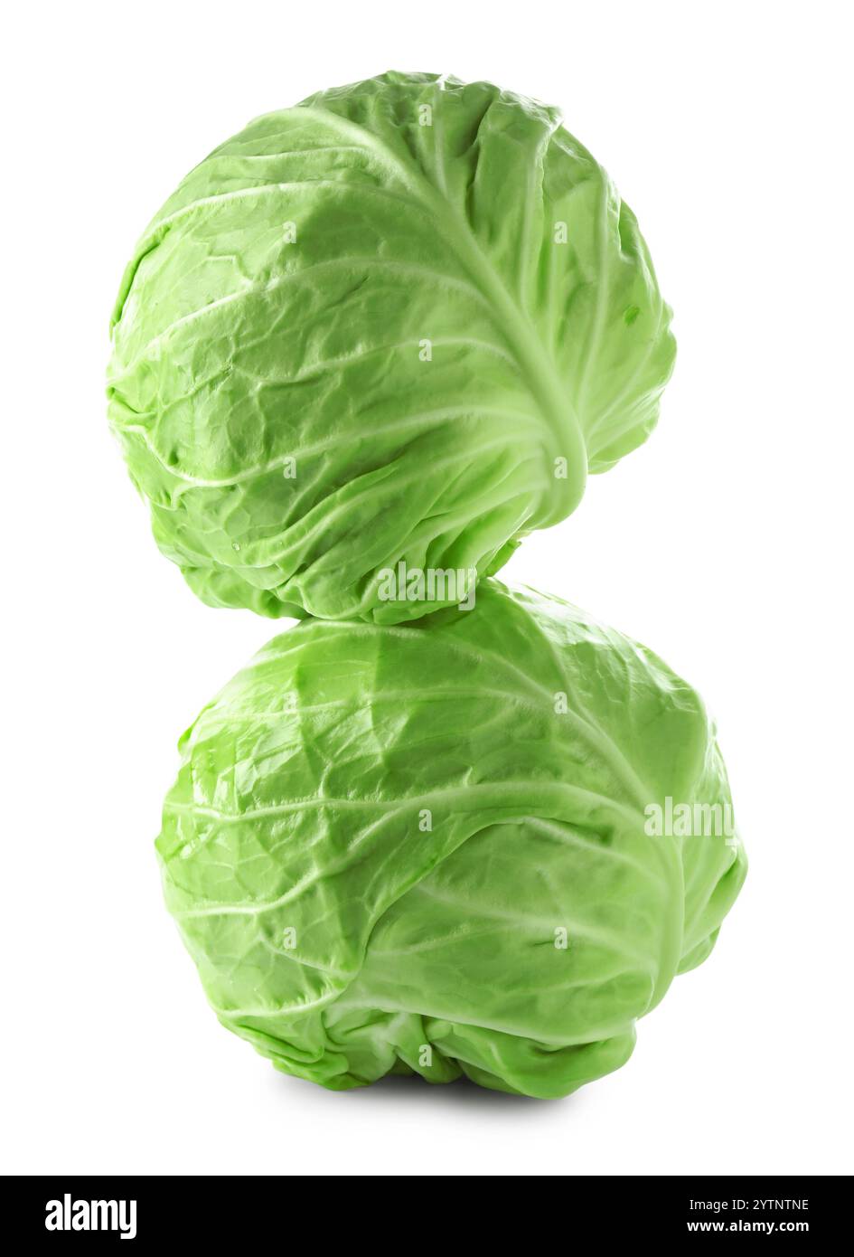 Two whole heads of cabbage isolated on white Stock Photo - Alamy