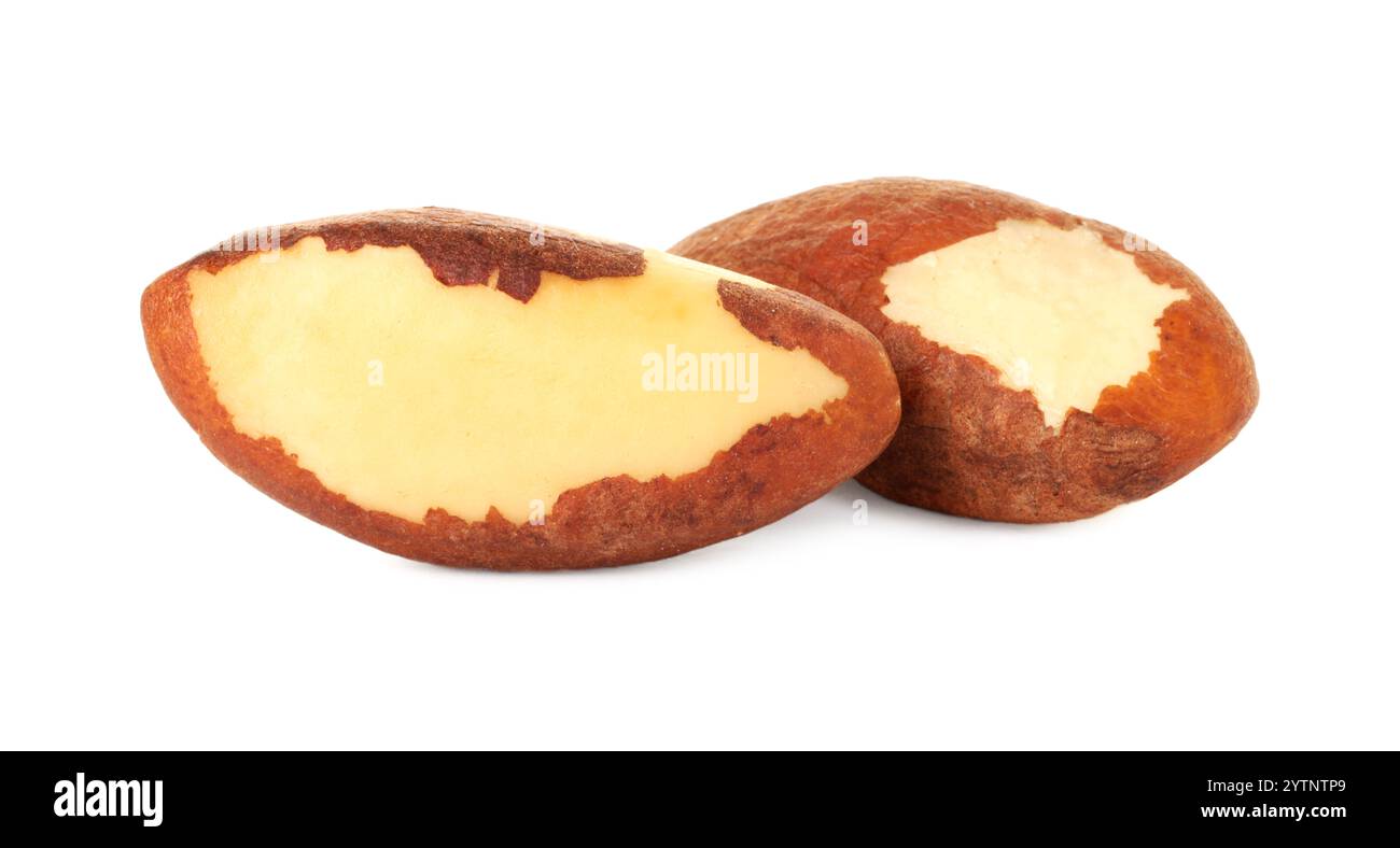 Two tasty Brazil nuts isolated on white Stock Photo - Alamy