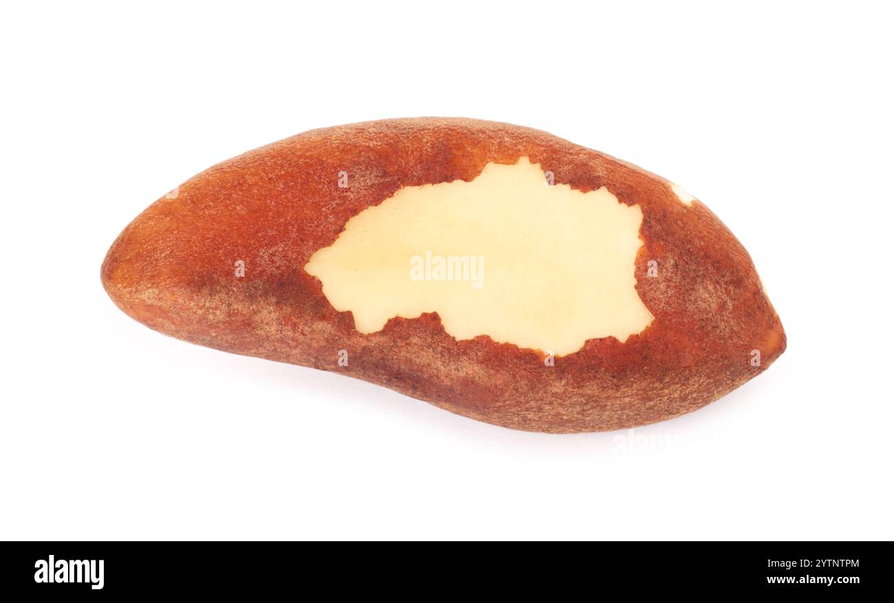 One tasty Brazil nut isolated on white Stock Photo - Alamy
