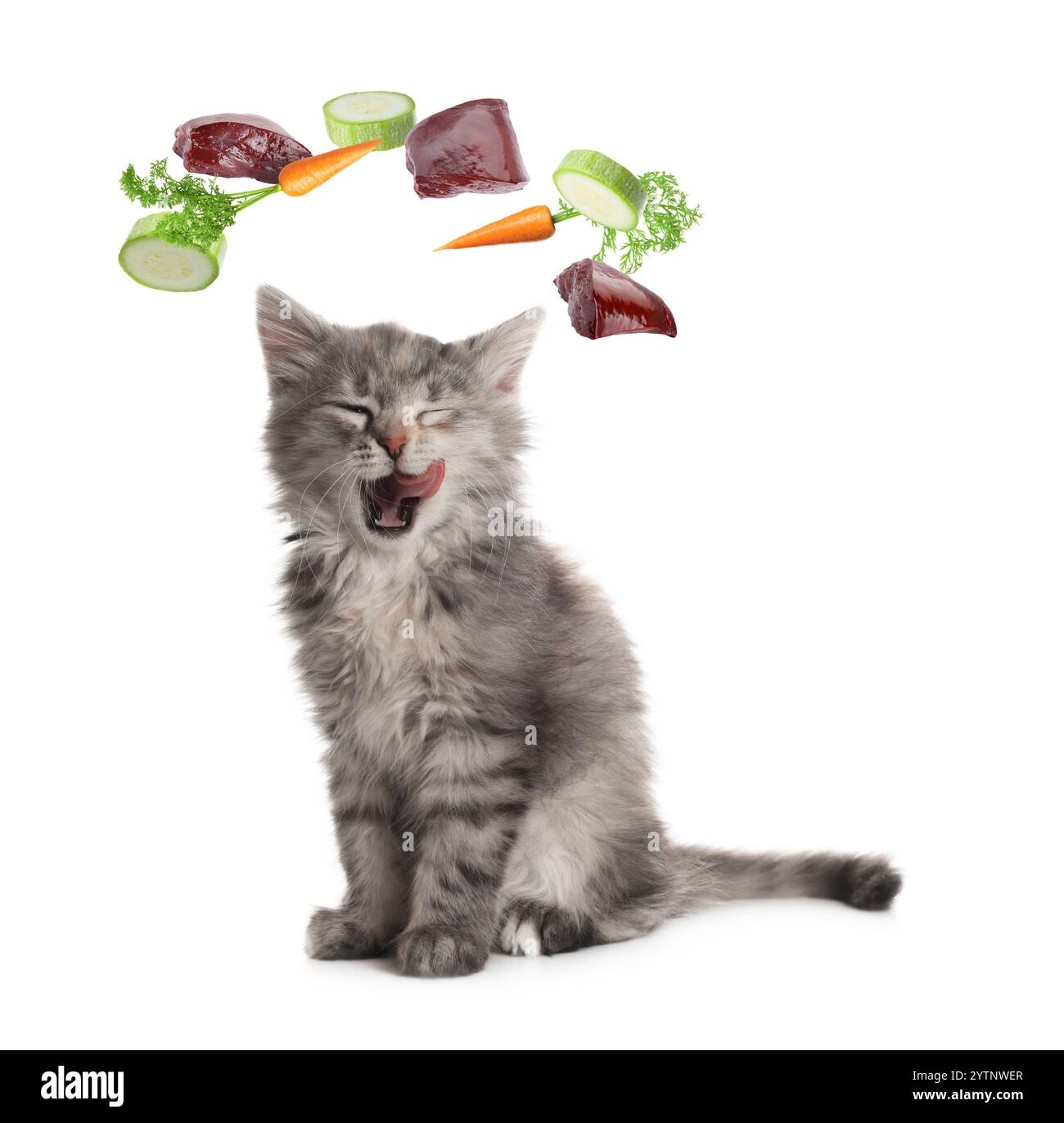 Cute kitten surrounded by flying vegetables and raw liver on white ...
