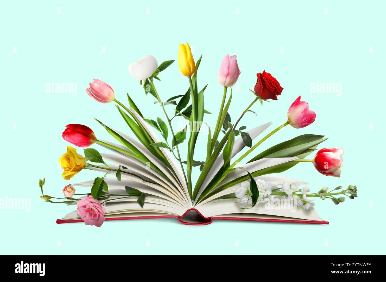 Open book with beautiful flowers between pages on light blue background ...