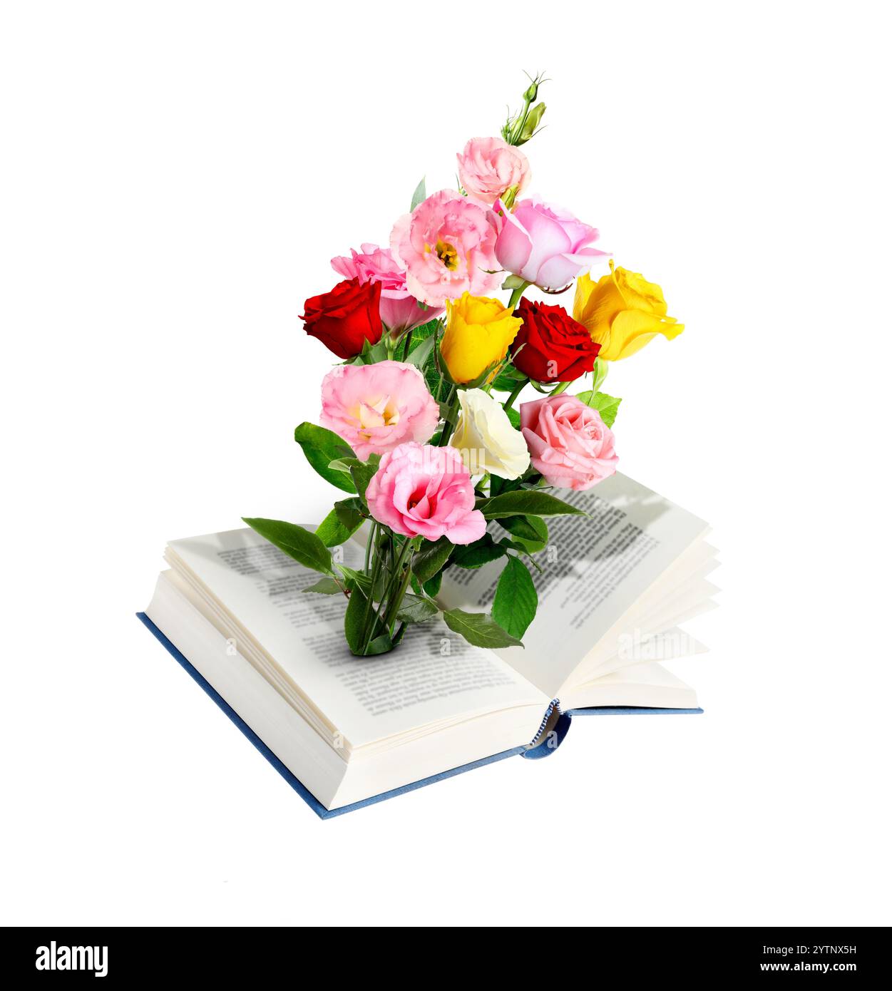 Open book with beautiful flowers between pages on white background ...