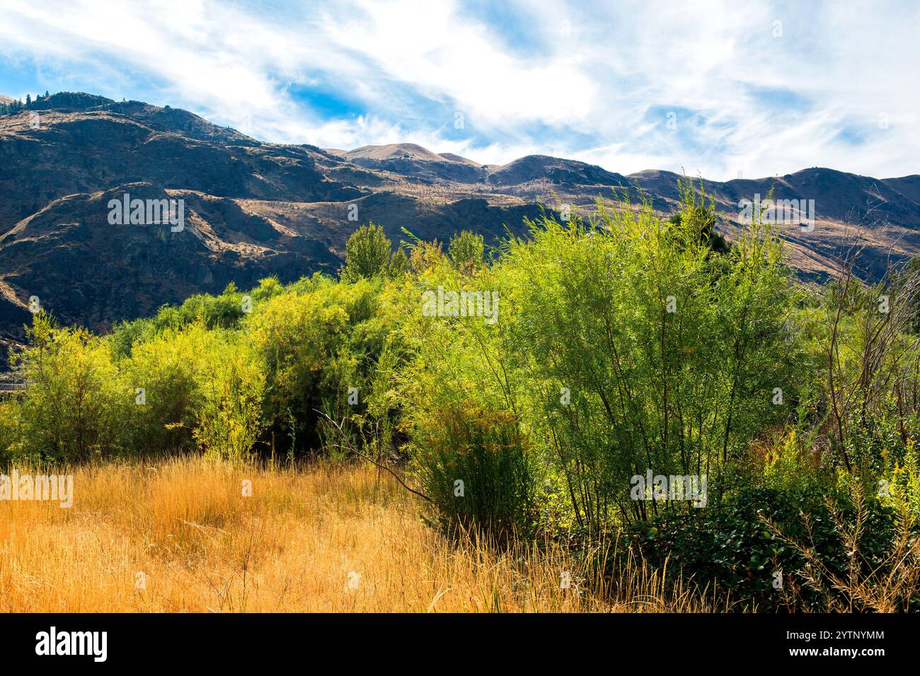 Beebe Springs Wildlife Area, Columbia River Trails, Lake Chelan ...