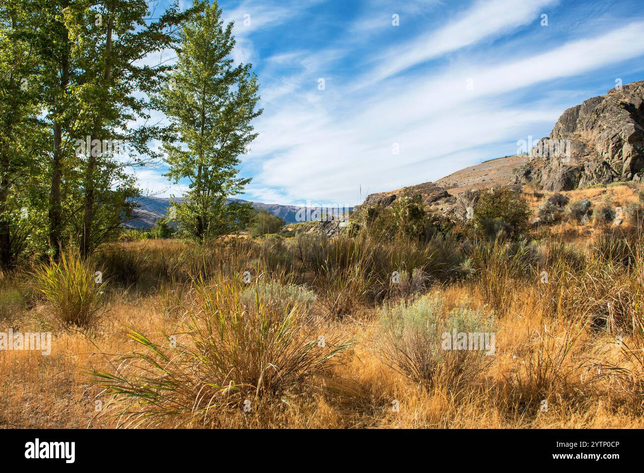 Beebe Springs Wildlife Area, Columbia River Trails, Lake Chelan ...