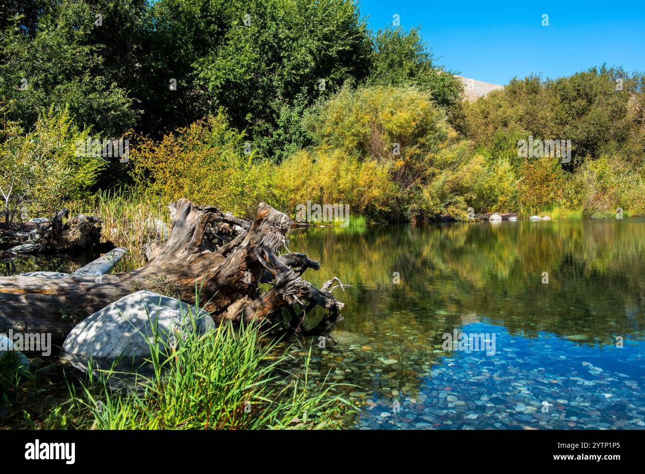 Frank's Pond, Beebe Springs Wildlife Area, Lake Chelan, Washington ...