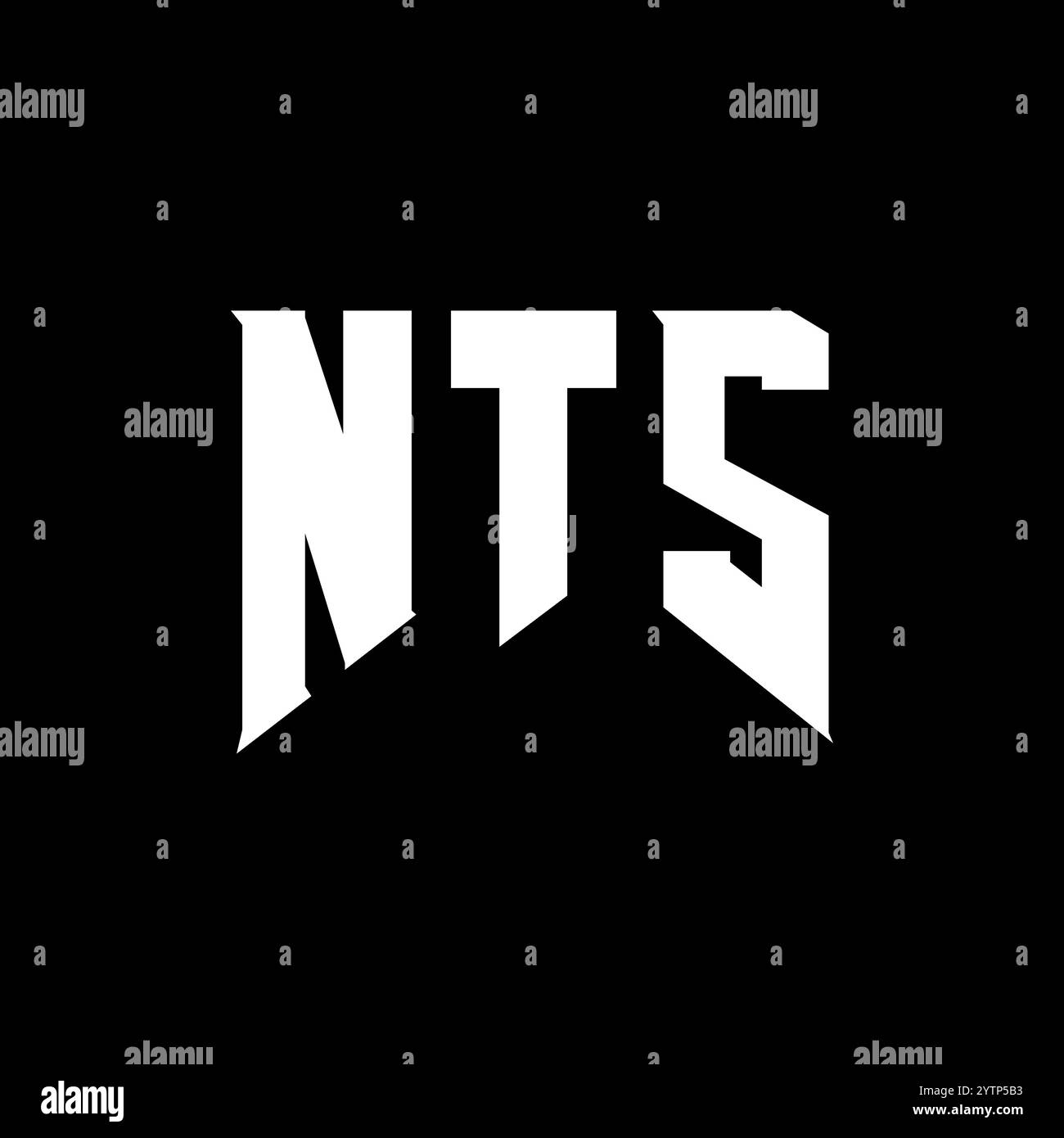 NTS letter logo design for technology company. NTS logo design black and white color combination ...