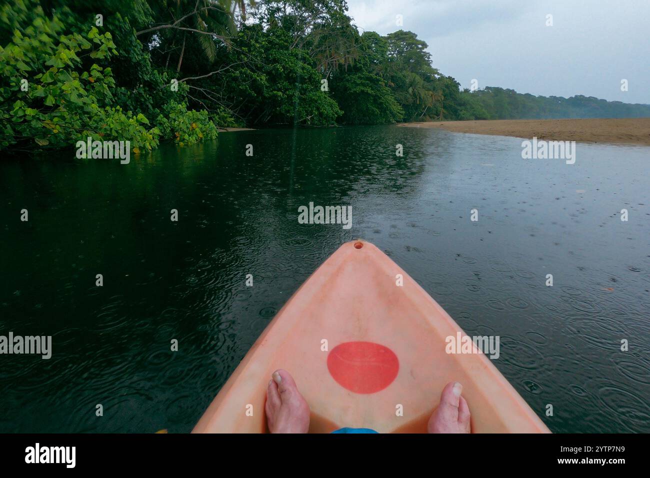 Paddling and canoeing through rainy waters of rainforest river in the ...