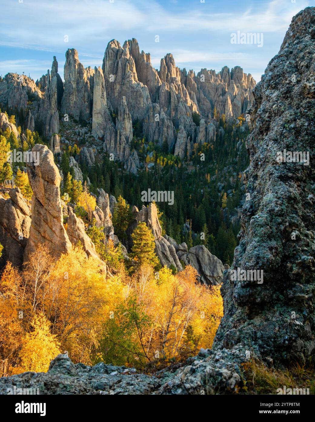 Cathederal spires in the golden hour light with autumn colors in ...