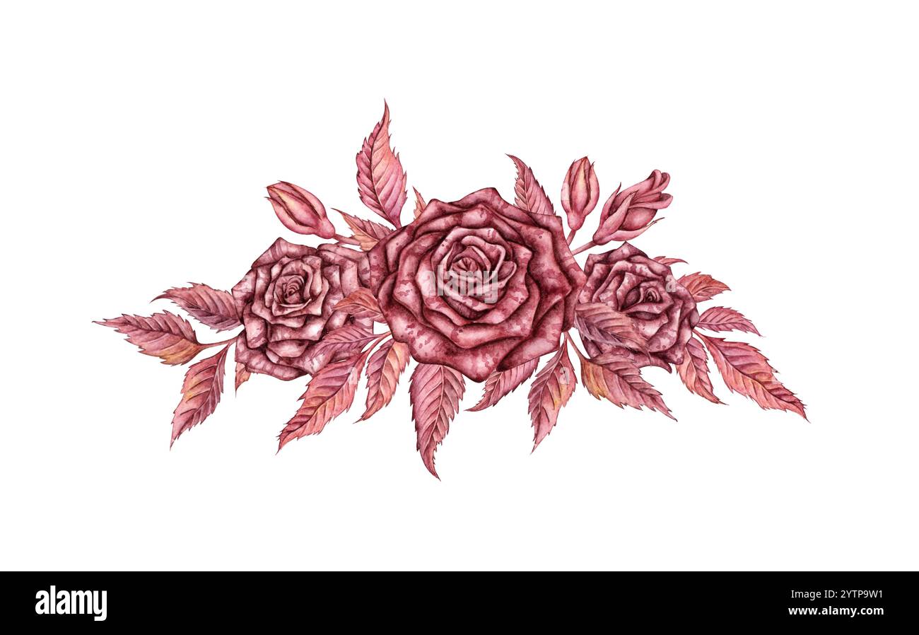Burgundy gothic rose with leaves and buds, border watercolor ...