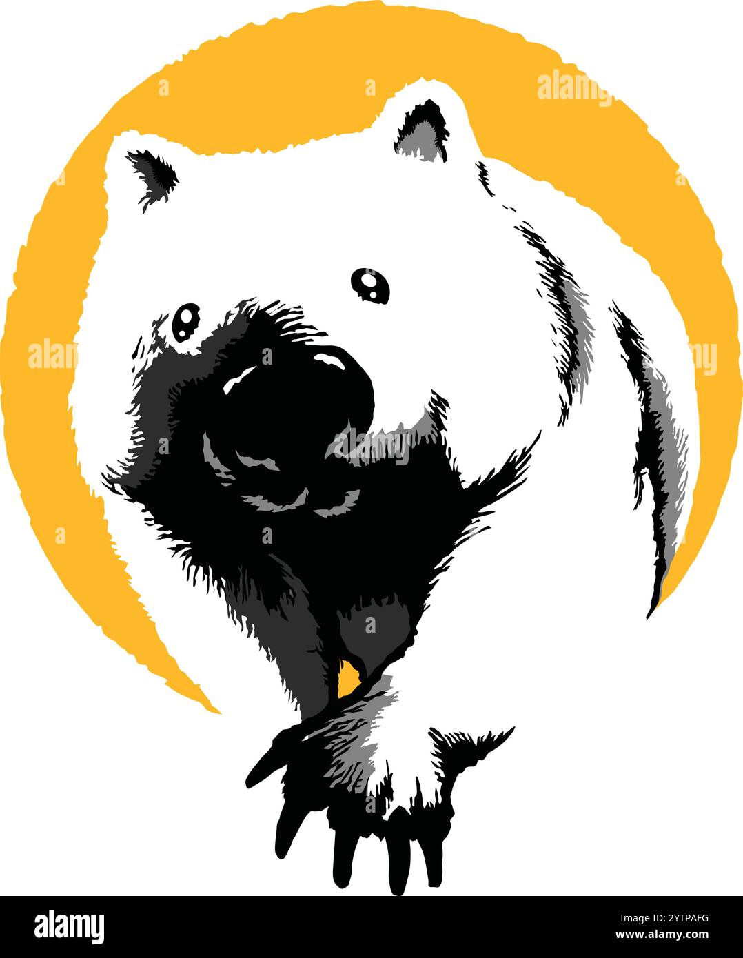 Front View of Wombat Walking Illustration Stock Vector Image & Art - Alamy