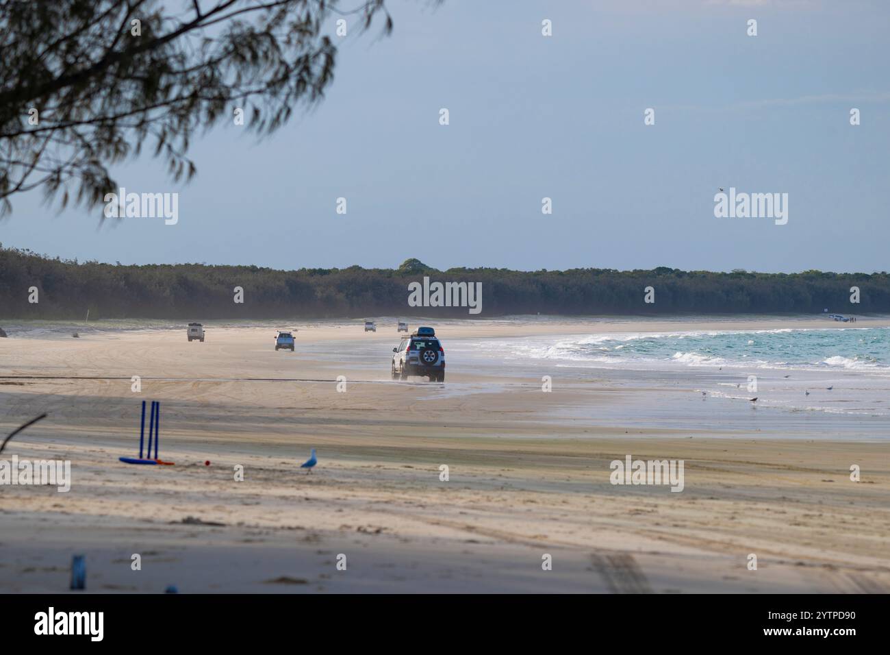Cars beach driving on Flinders Beach, North Stradbroke Island ...