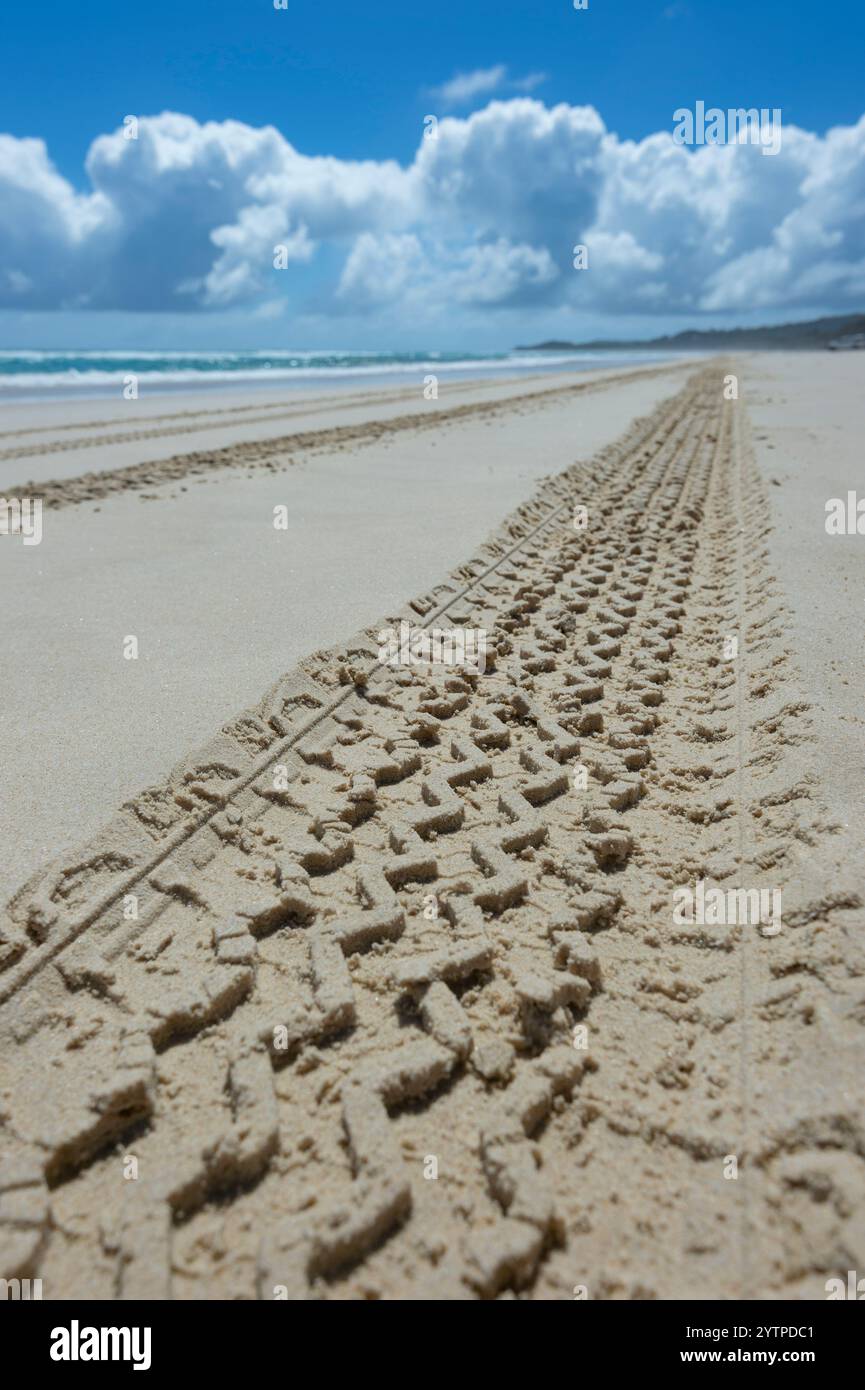 Tyre tracks on Flinders Beach, North Stradbroke Island, Queensland, QLD ...