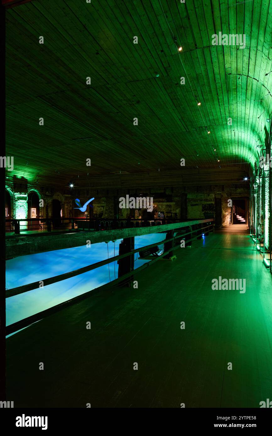 A Stunning Modern Indoor Pool Featuring Unique Green Lighting and an ...