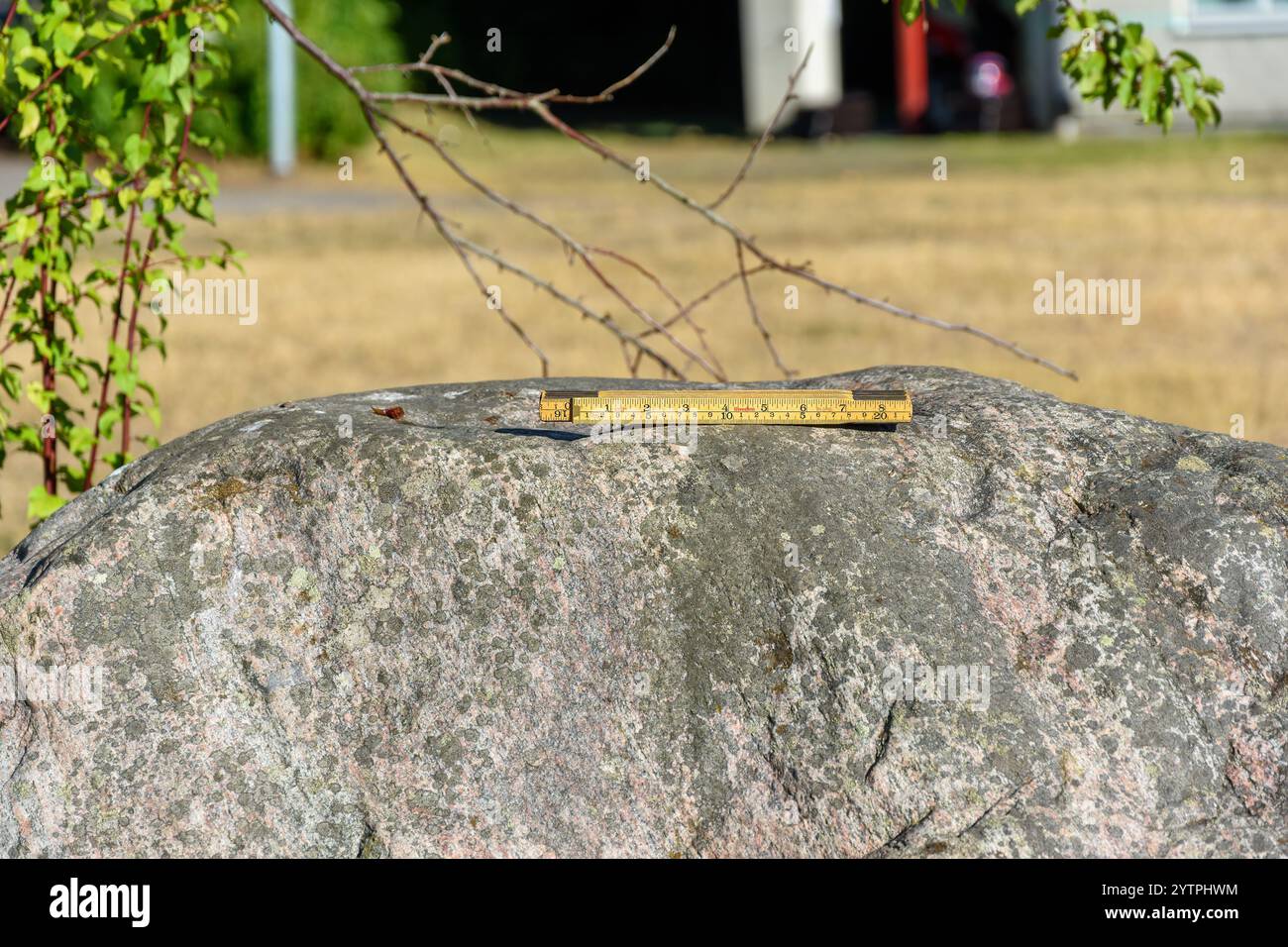 A ruler rests on a large rock in a park, surrounded by grass and trees ...