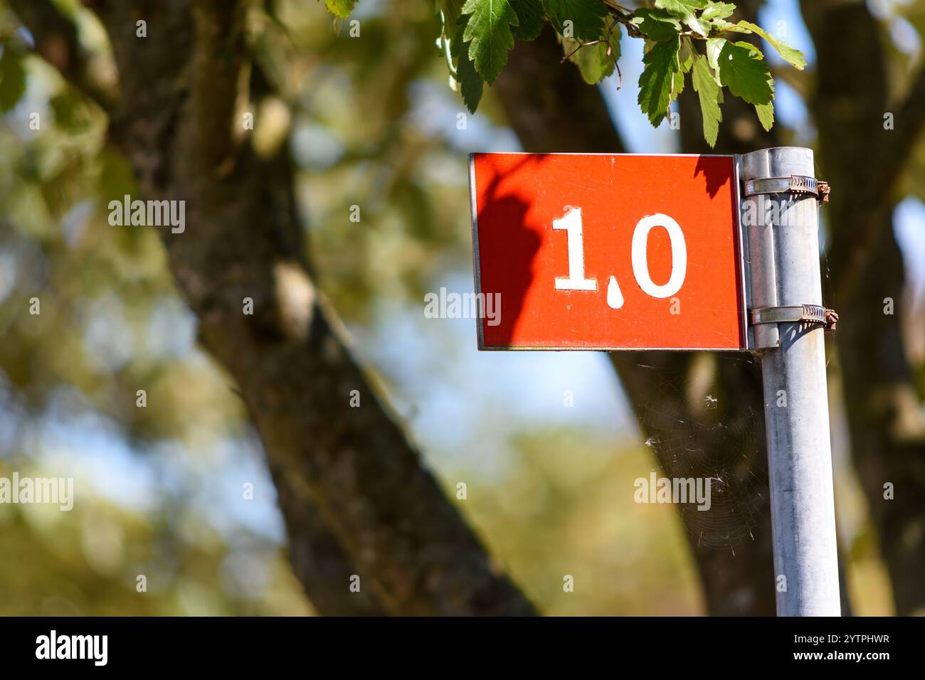 Clear identification guide hi-res stock photography and images - Alamy