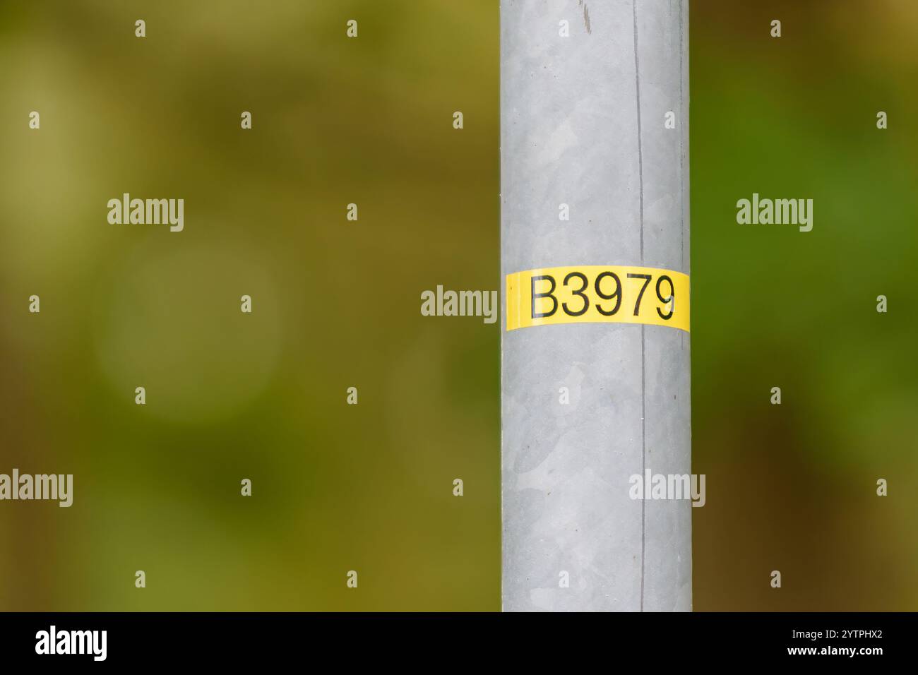 A vertical pole features a bright yellow label marked with the number ...