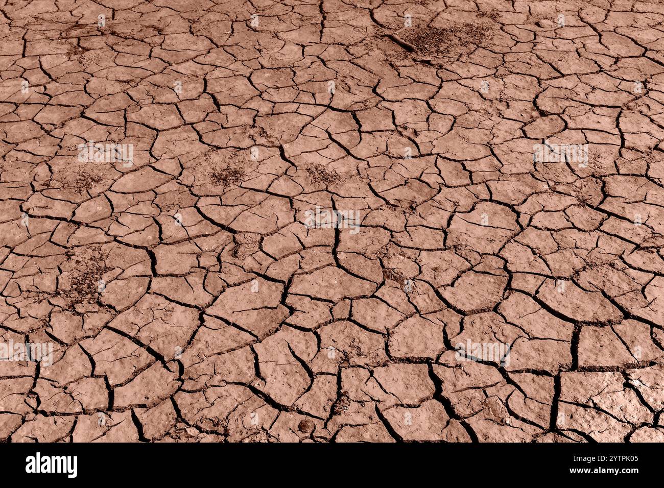 Brown dry soil or mud texture, background. Demonstrating color of the ...