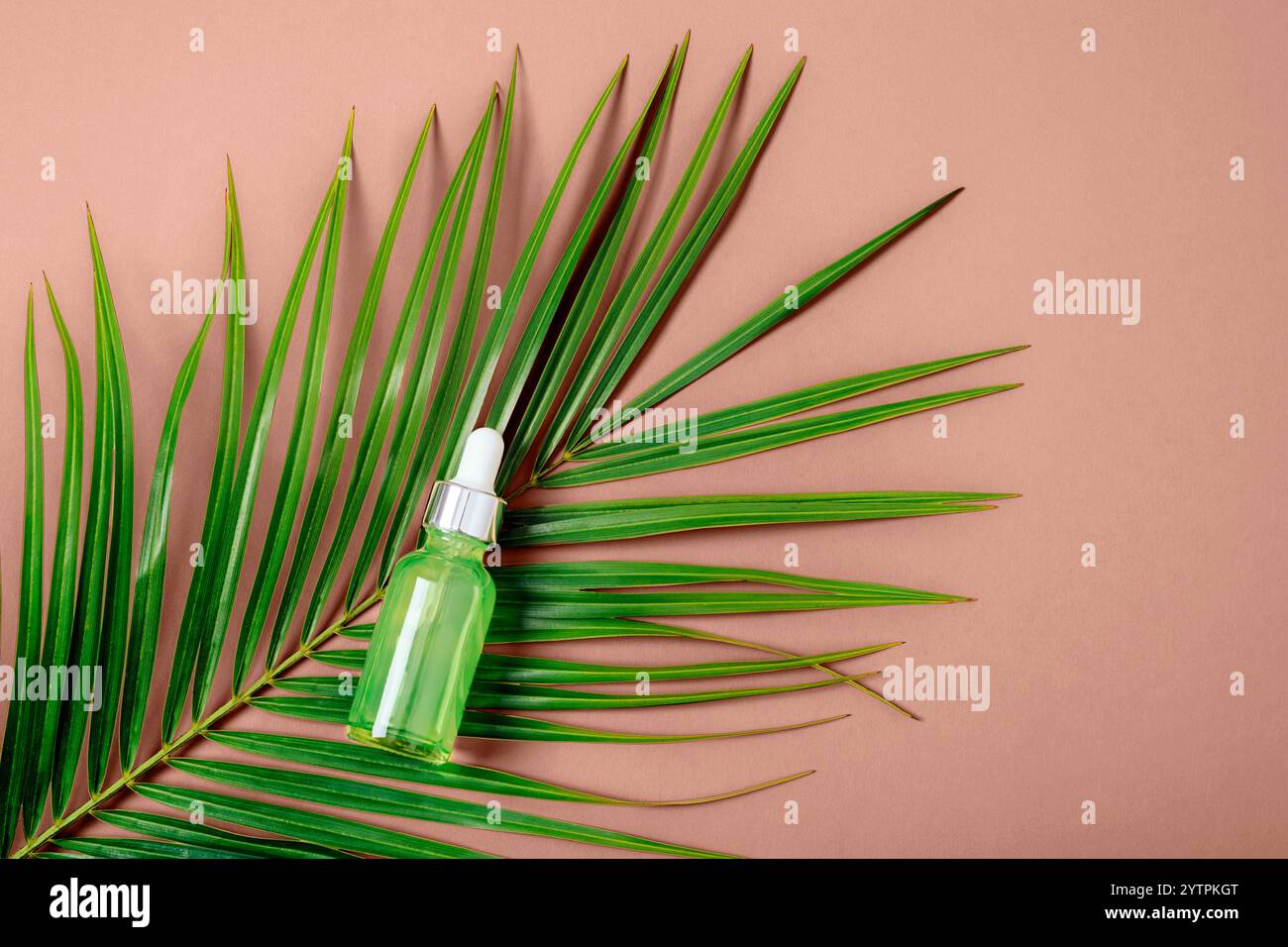 Mocha skin hi-res stock photography and images - Alamy