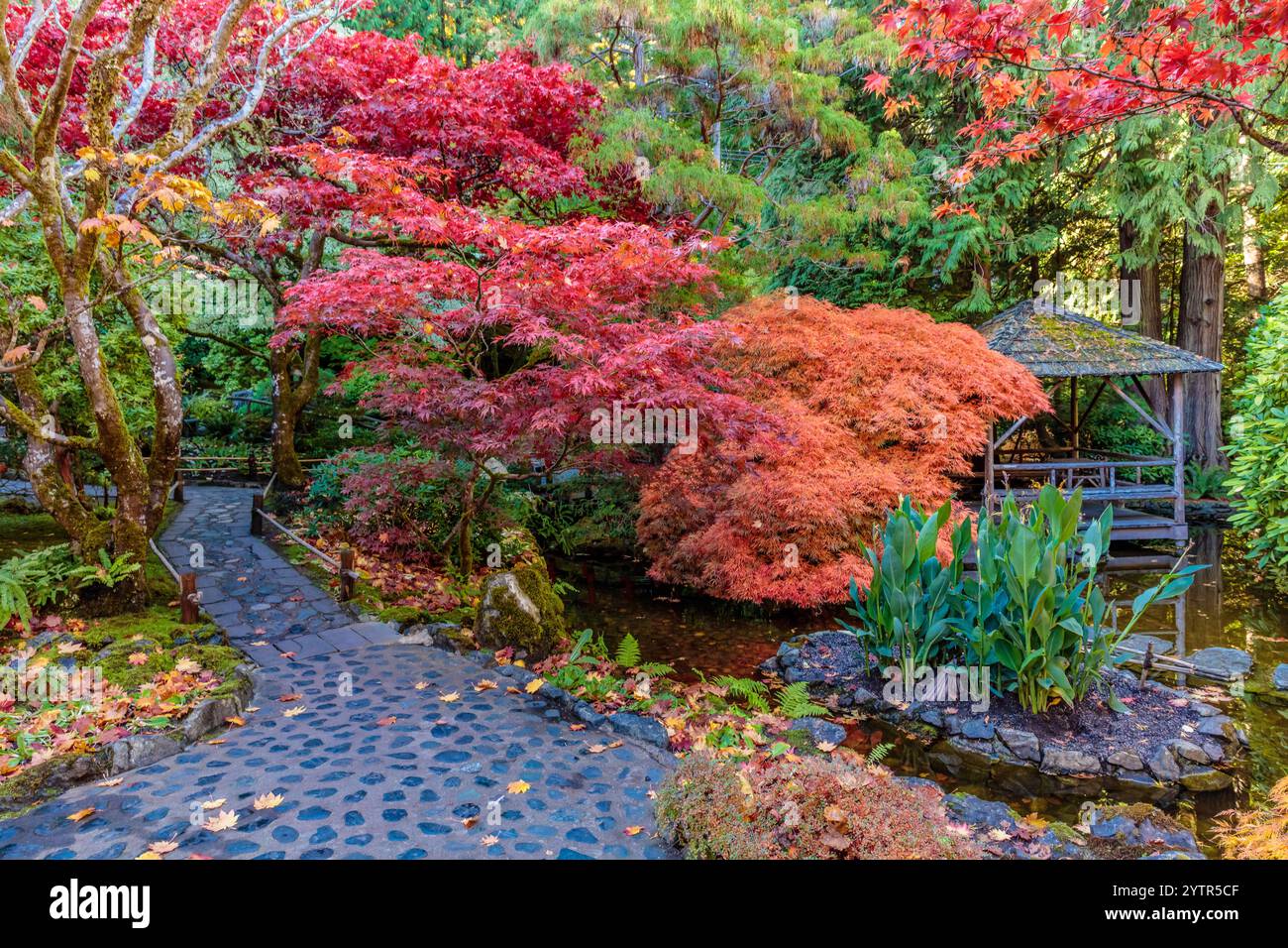 Red bench japanese garden hi-res stock photography and images - Alamy