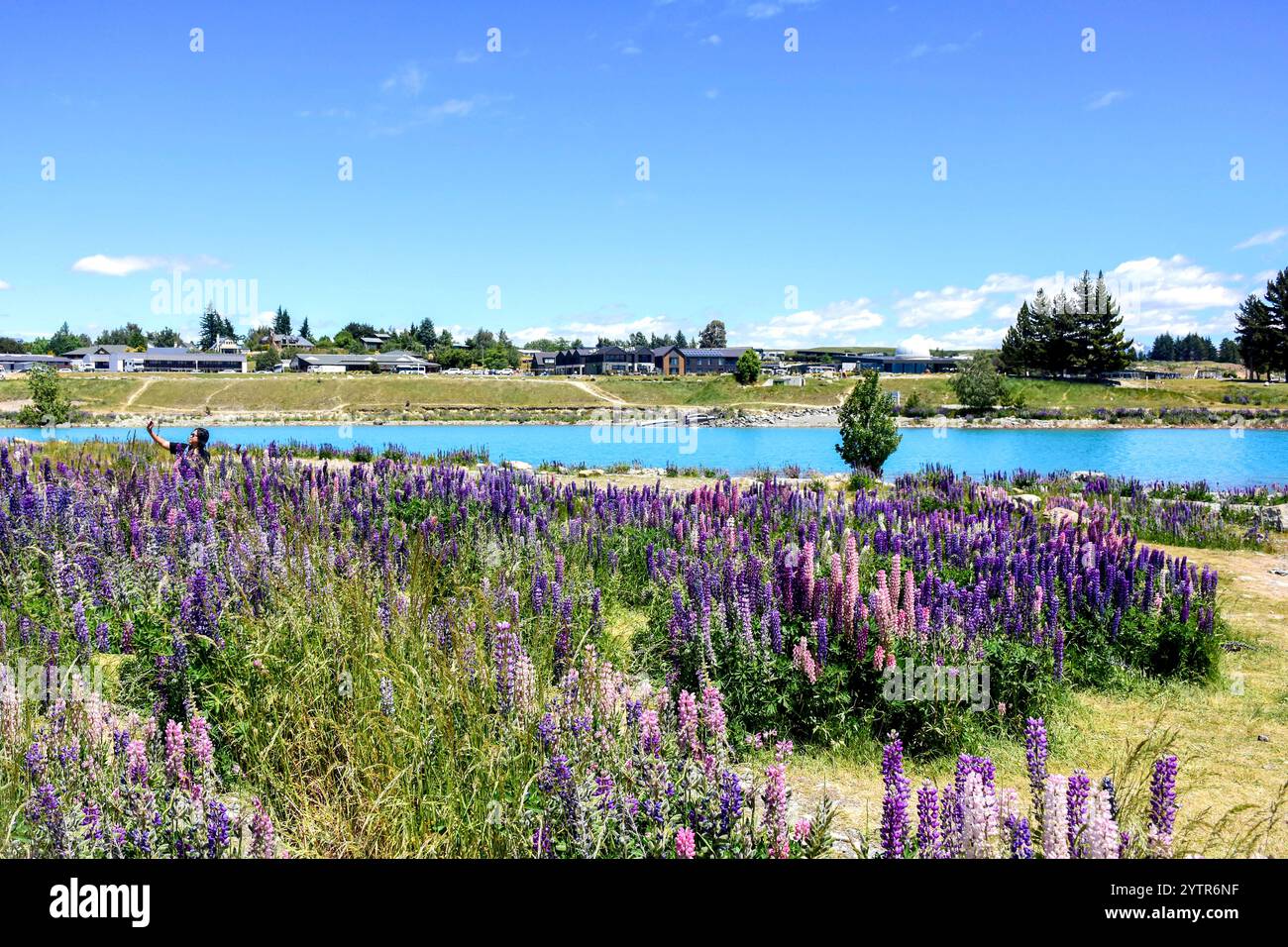 Lake tekapo village nz hi-res stock photography and images - Alamy