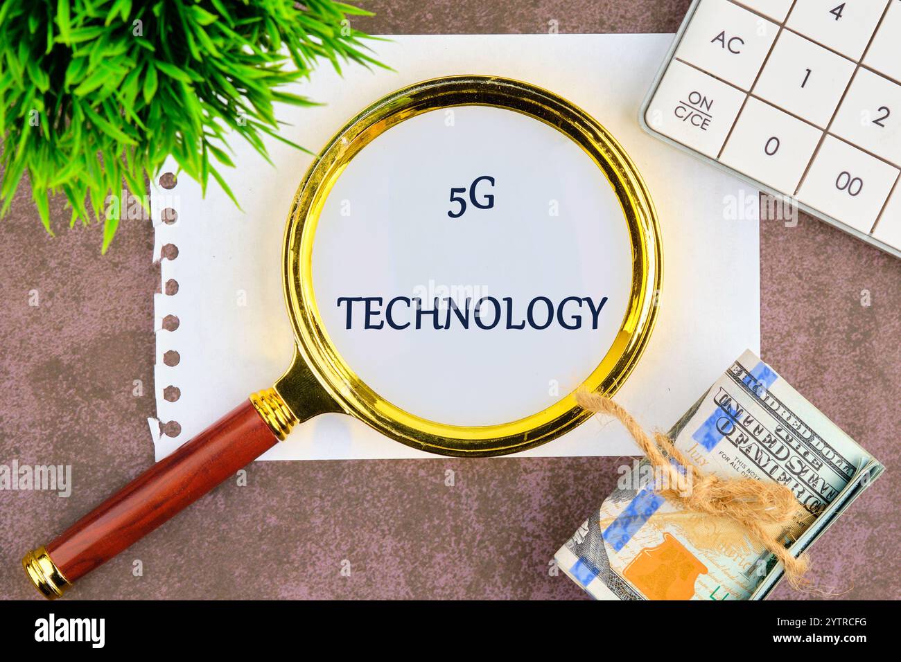 Magnifying glass data processing animation hi-res stock photography and images - Alamy