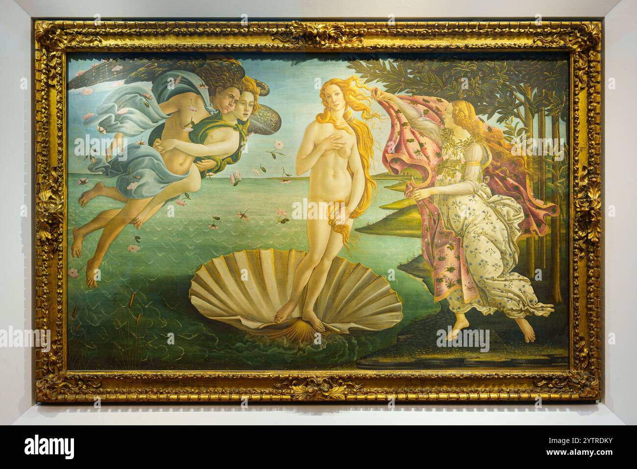 Florence, Italy, January 4, 2024: The Birth of Venus. Botticelli Stock ...