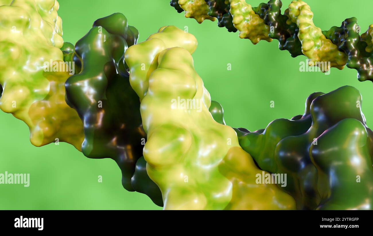 A 3D rendering of green deoxyribonucleic acid molecule, two strands ...