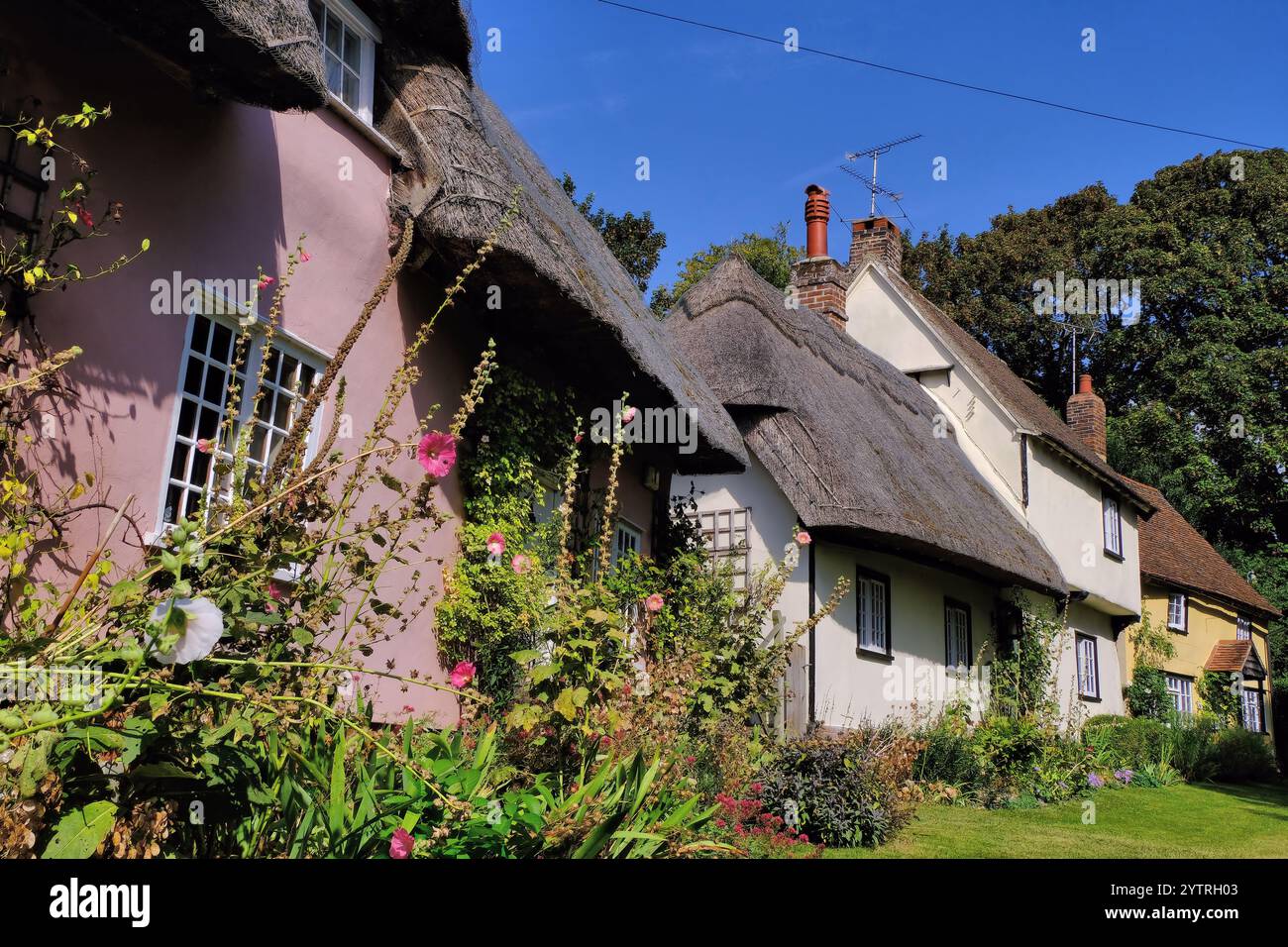 Wendens Ambo: Colourful thatched cottages and flowers in Wendens Ambo ...
