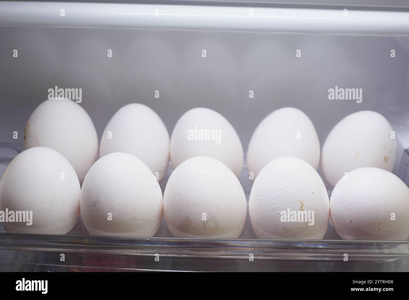 Fresh White Eggs Stored in the Refrigerator Compartment for Safety ...
