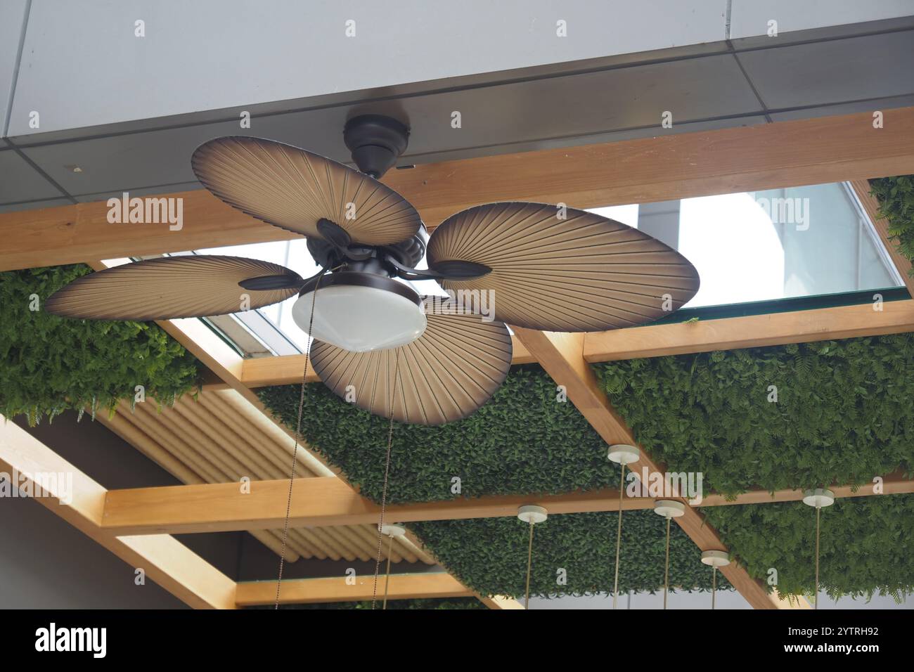 Modern landscape design home natural hi-res stock photography and ...