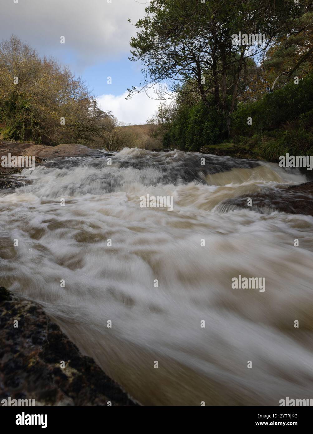 Small river in full flow after rain, River Avon, Devon, UK Stock Photo ...